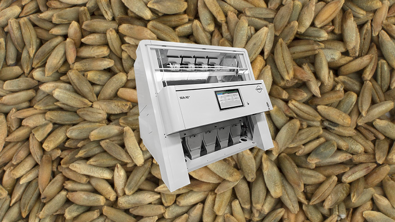 SEA.IQ PLUS High-end Optical Sorter